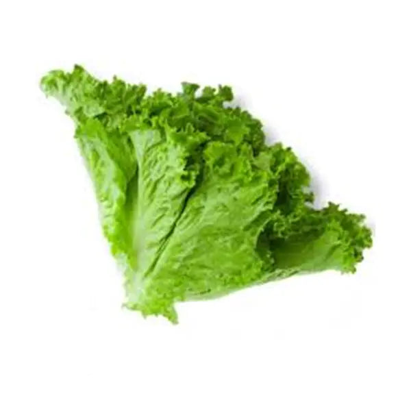 Lettuce 1Kg – Greenvalley Lahore